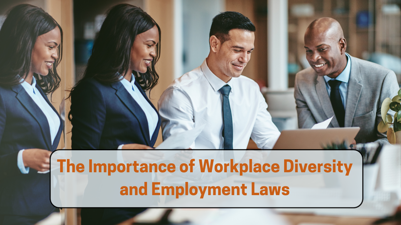 The Importance Of Workplace Diversity And Employment Laws